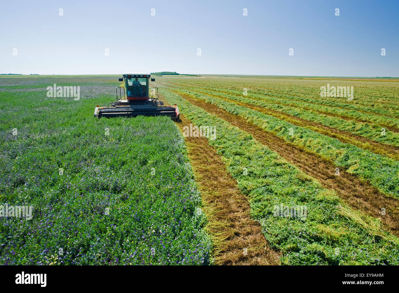 Ponteix hi-res stock photography and images - Alamy