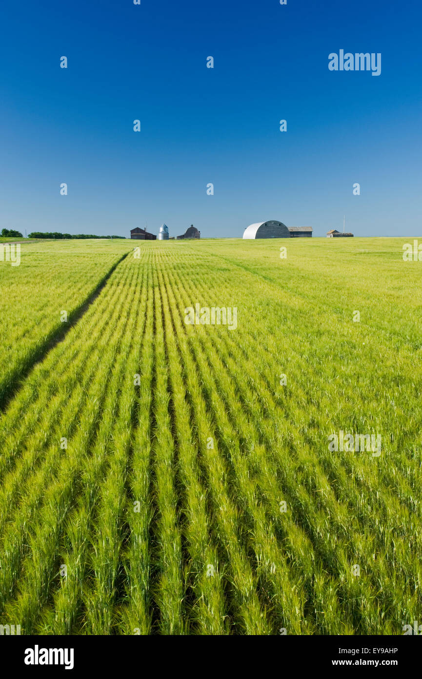 Barley barn hi-res stock photography and images - Alamy