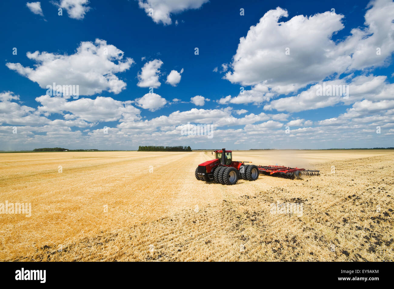 A tractor pulling a disc harrow works soil containing barley stubble ...