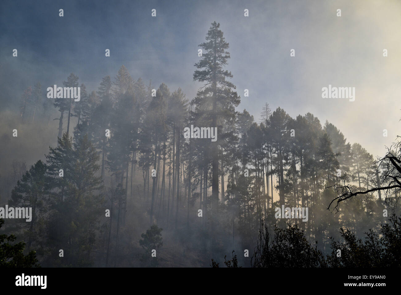 Vacaville And Placerville, CA, USA. 23rd July, 2015. The Kyburz Fire ...
