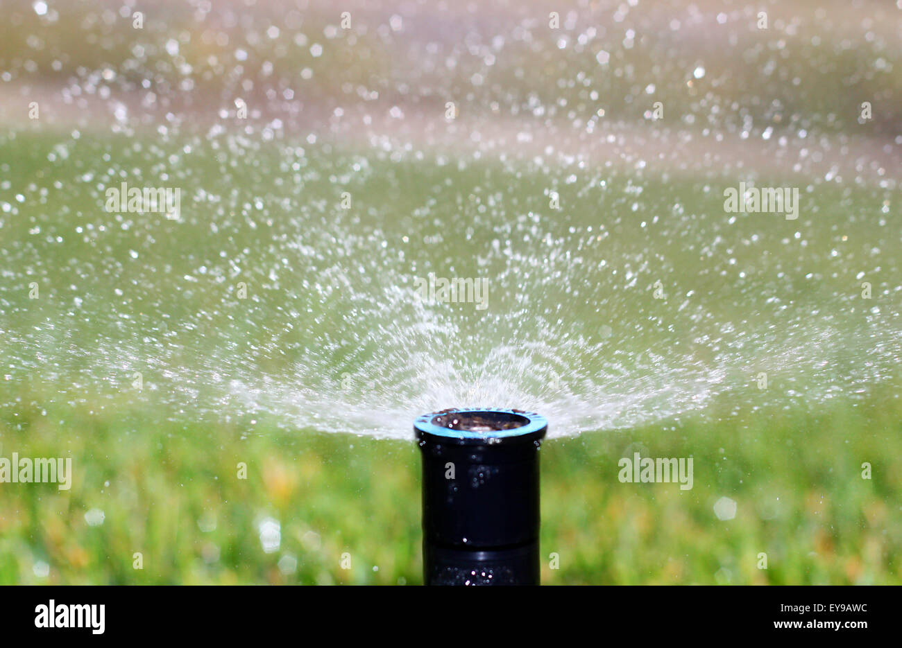 Garden sprinkler watering lawn Stock Photo - Alamy
