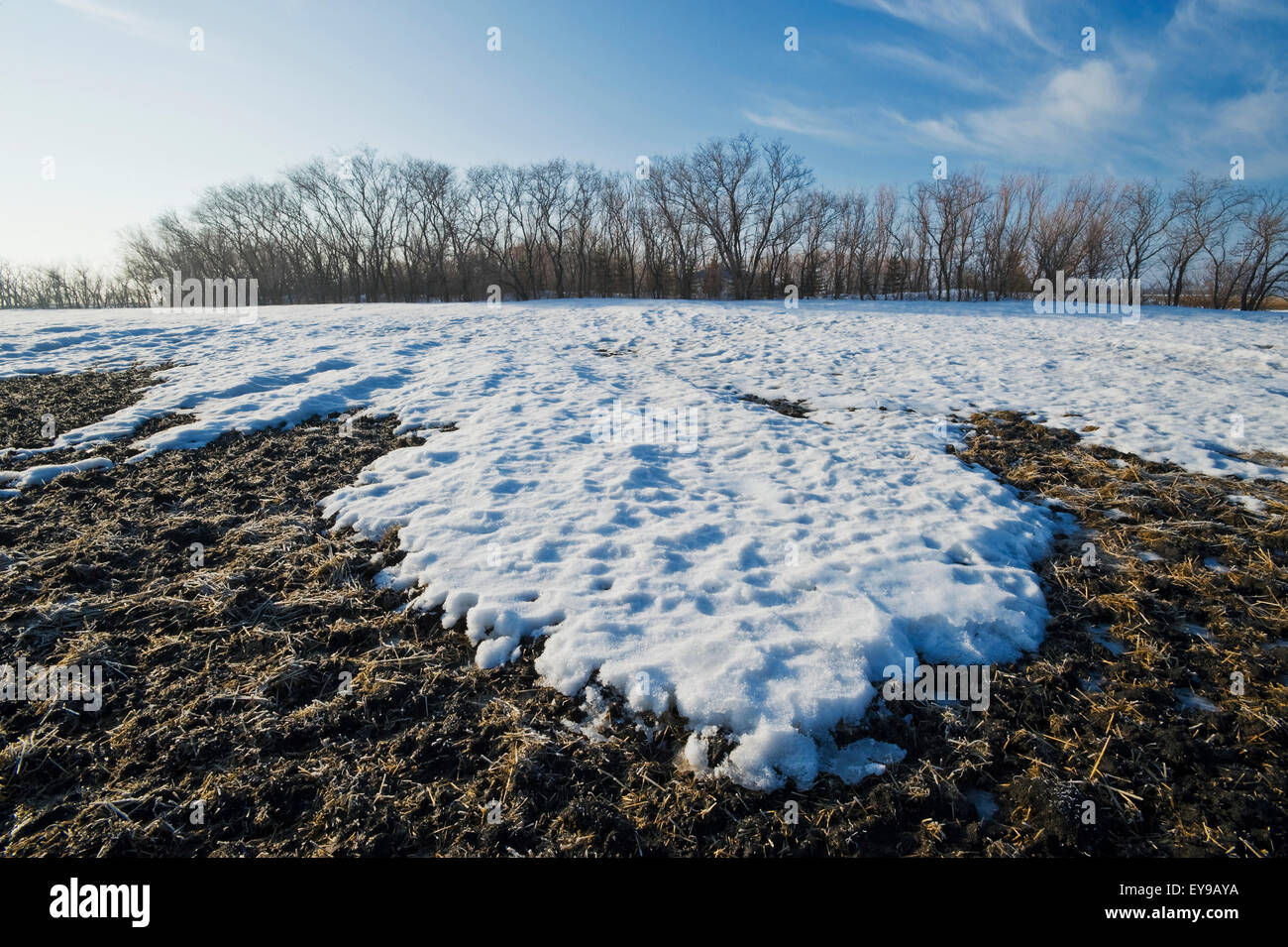 Melt temperature hi-res stock photography and images - Alamy