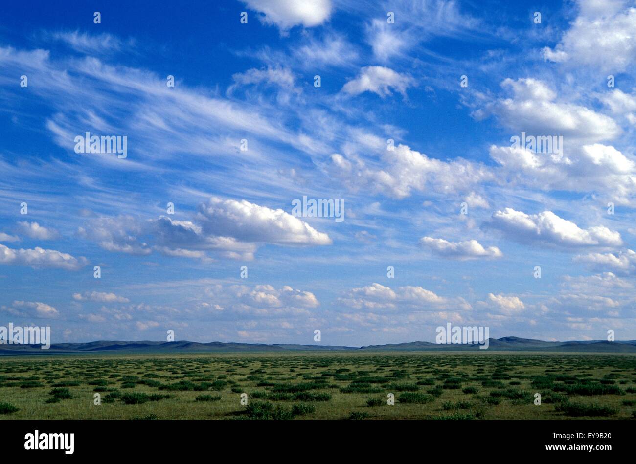 Desolate Green Landscape Stock Photo - Alamy