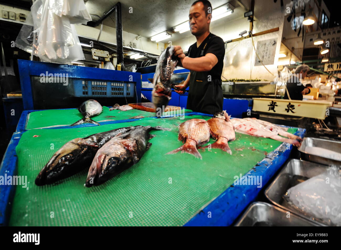 Editorial Tokyo Fish Market Stock Photo - Alamy