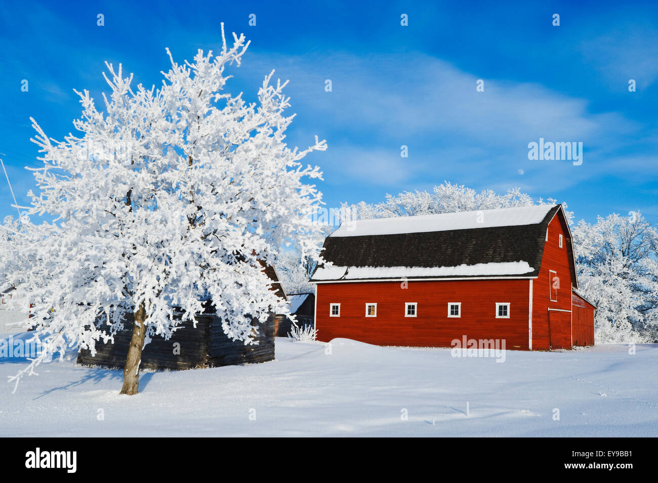 Red barn winter near beausejour hi-res stock photography and images - Alamy