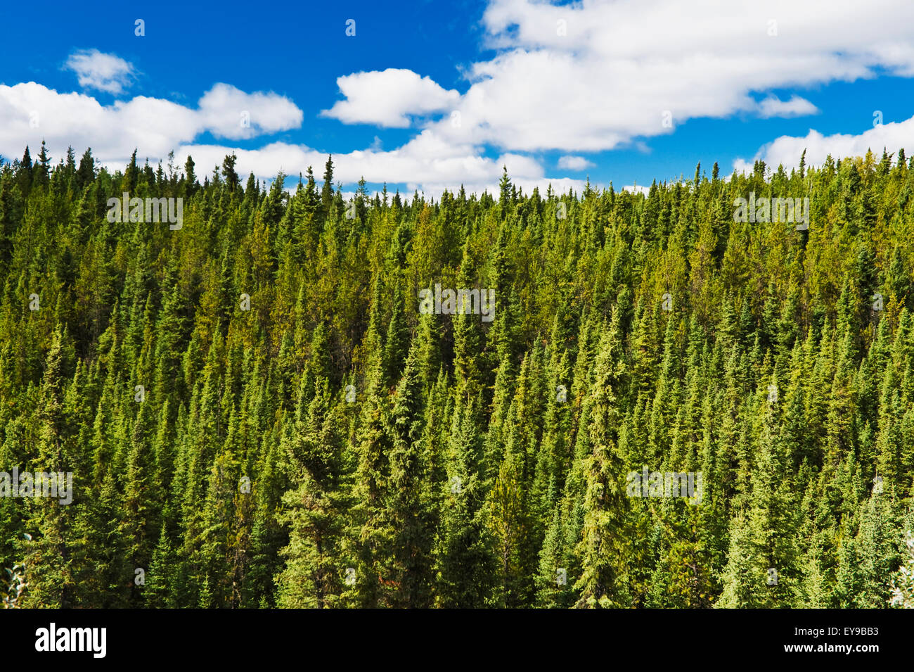 Saskatchewan la hi-res stock photography and images - Alamy