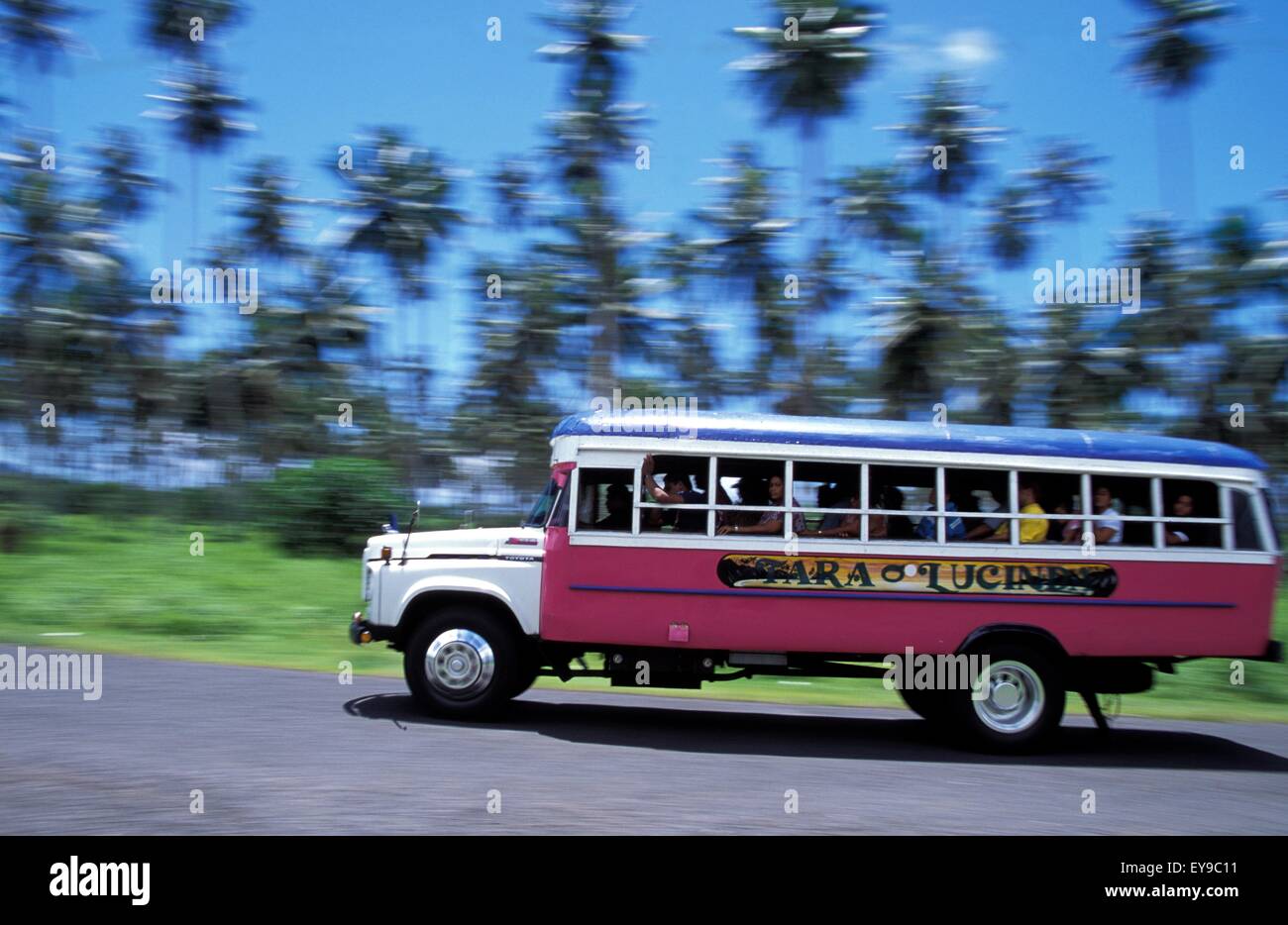 Open-Sided Bus By Palm Trees, Blurred Motion Stock Photo - Alamy
