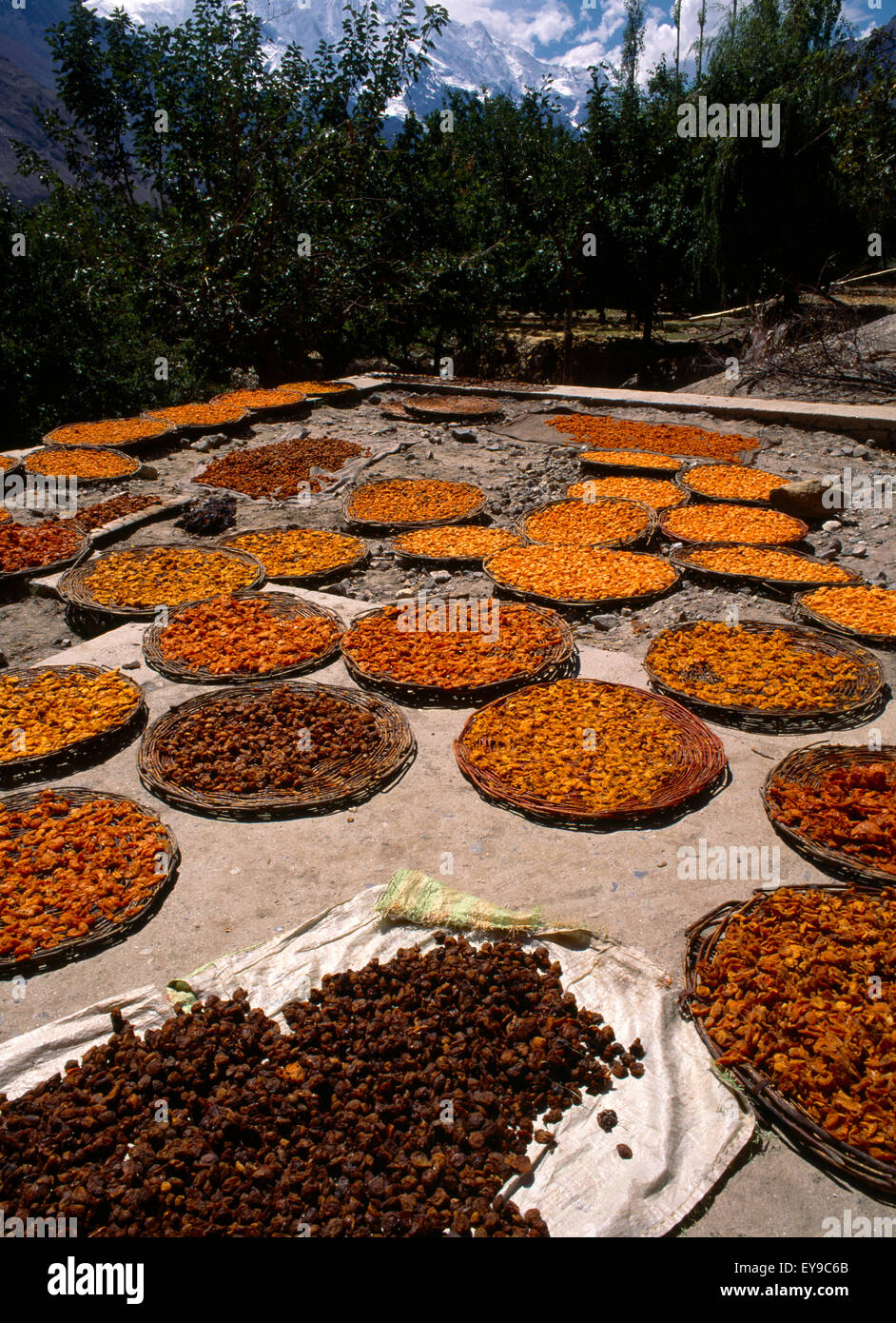 Hunza apricots pakistan hi-res stock photography and images - Alamy