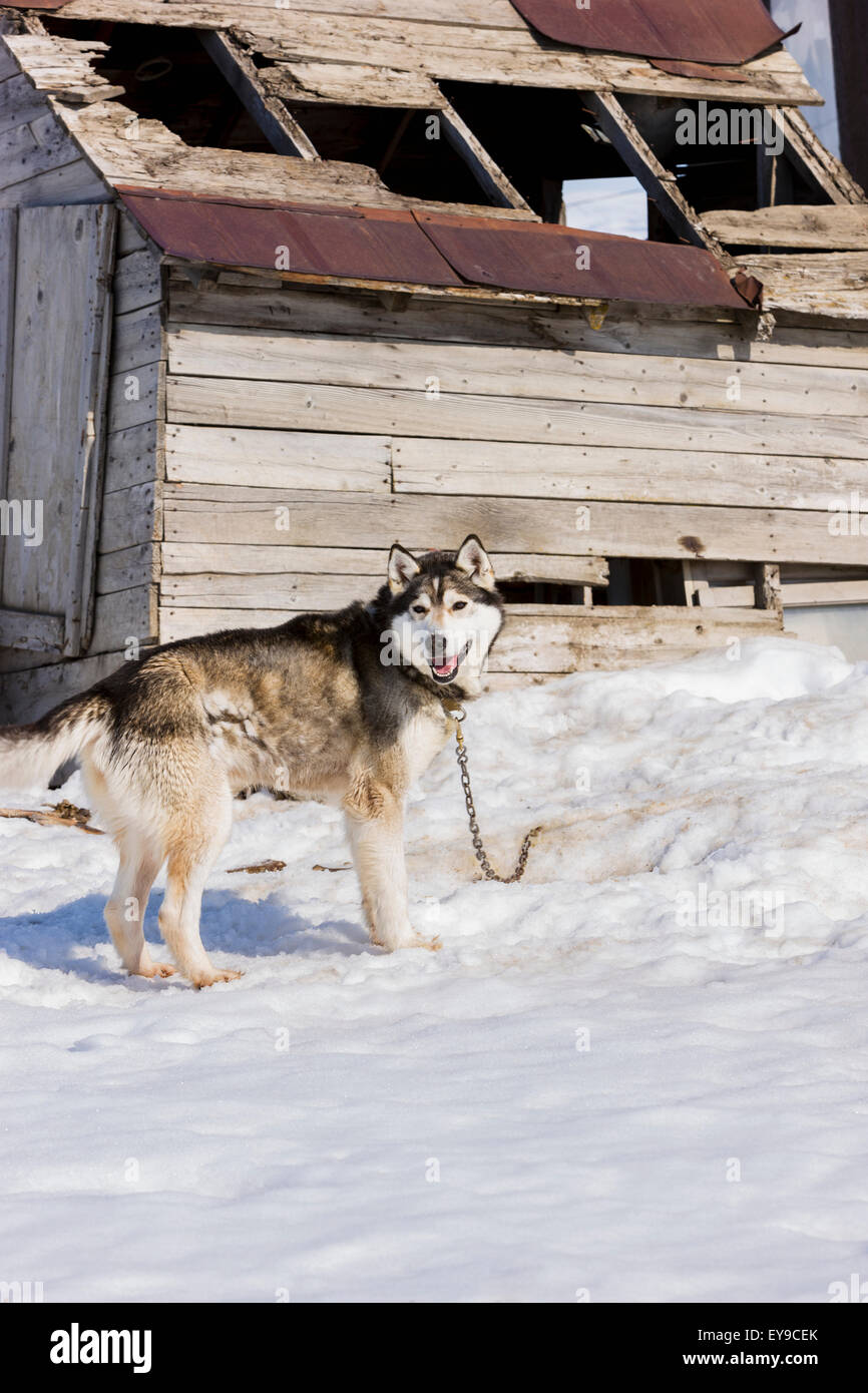 Dilapidated structure hi-res stock photography and images - Alamy