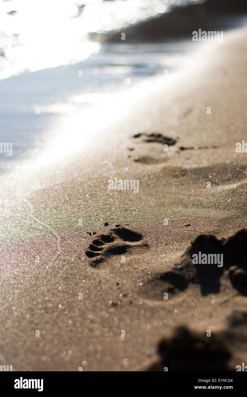 Footprints in the sand on beach Stock Photo - Alamy