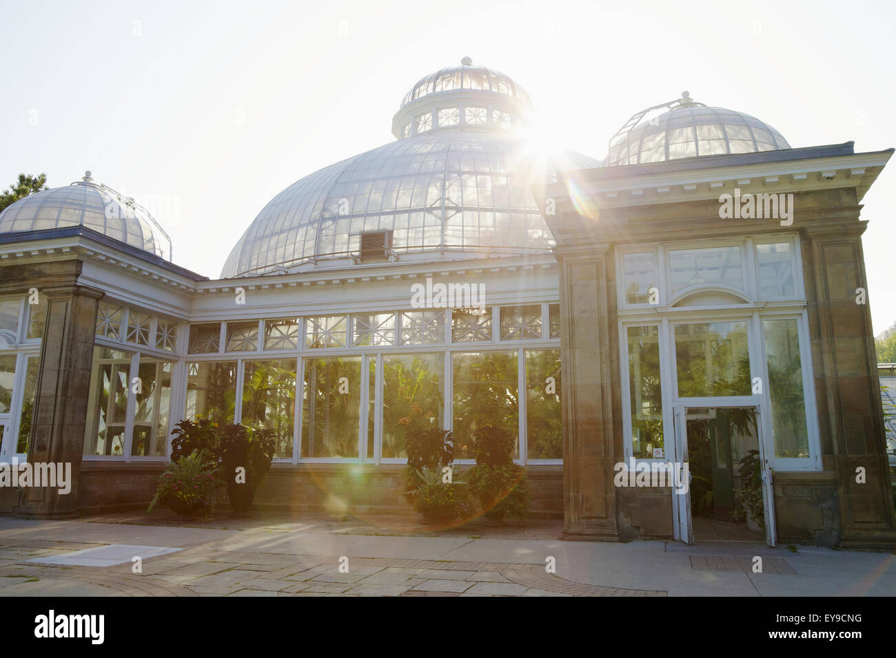 Toronto Allan Gardens Conservatory High Resolution Stock Photography ...