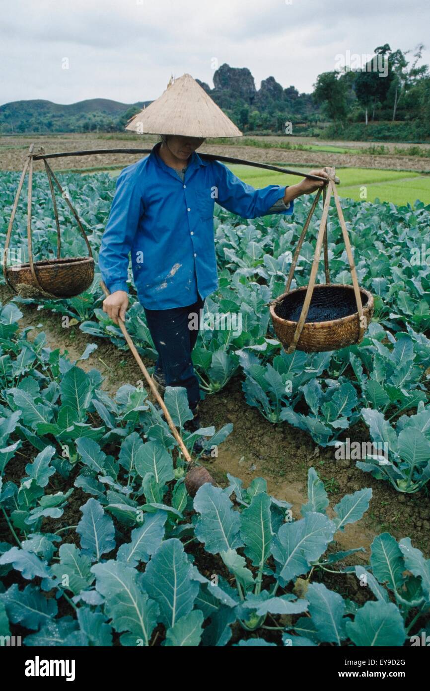 Carrying yoke hi-res stock photography and images - Alamy