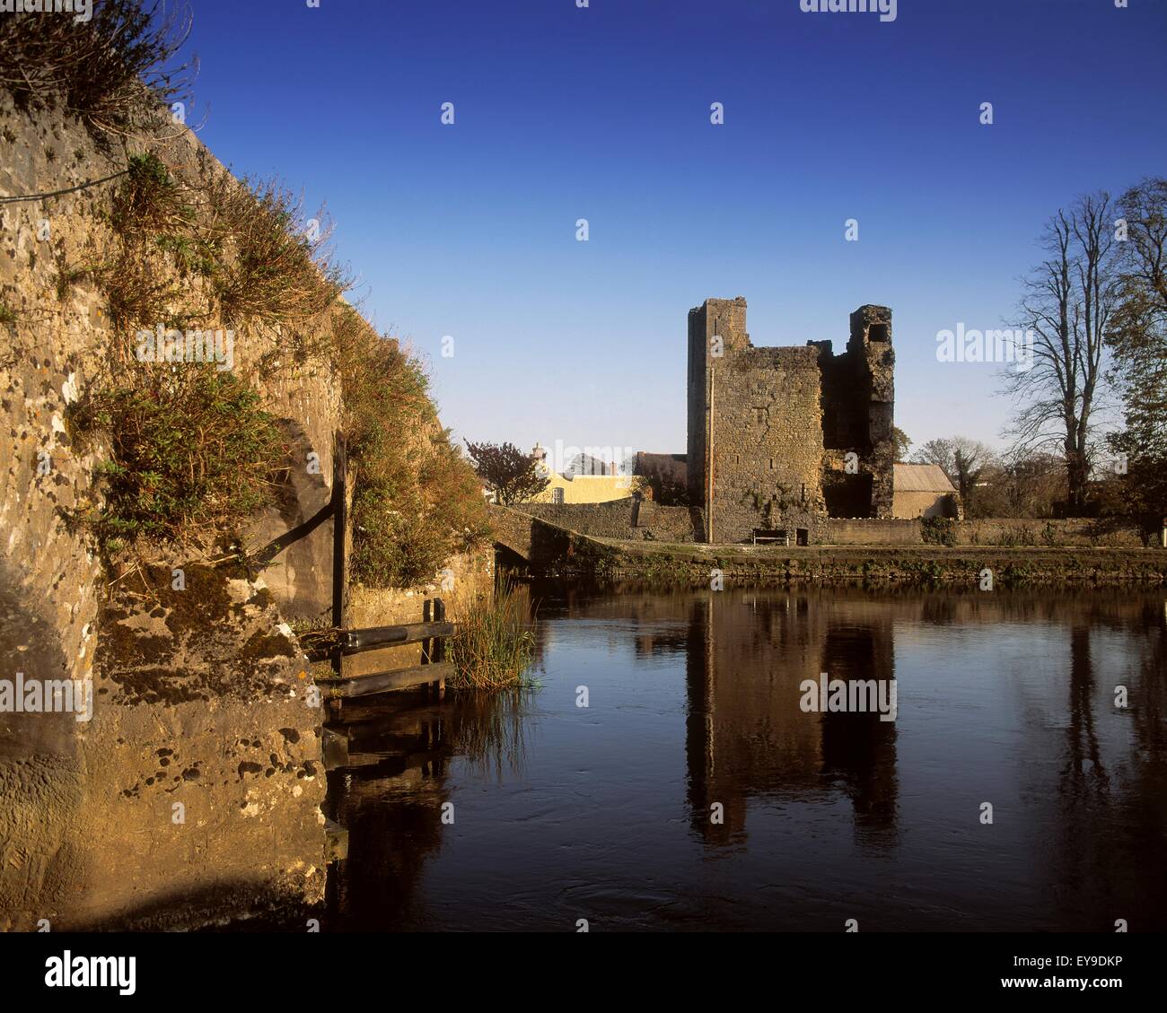 Leighlinbridge Castle, Co Carlow, Ireland Stock Photo - Alamy
