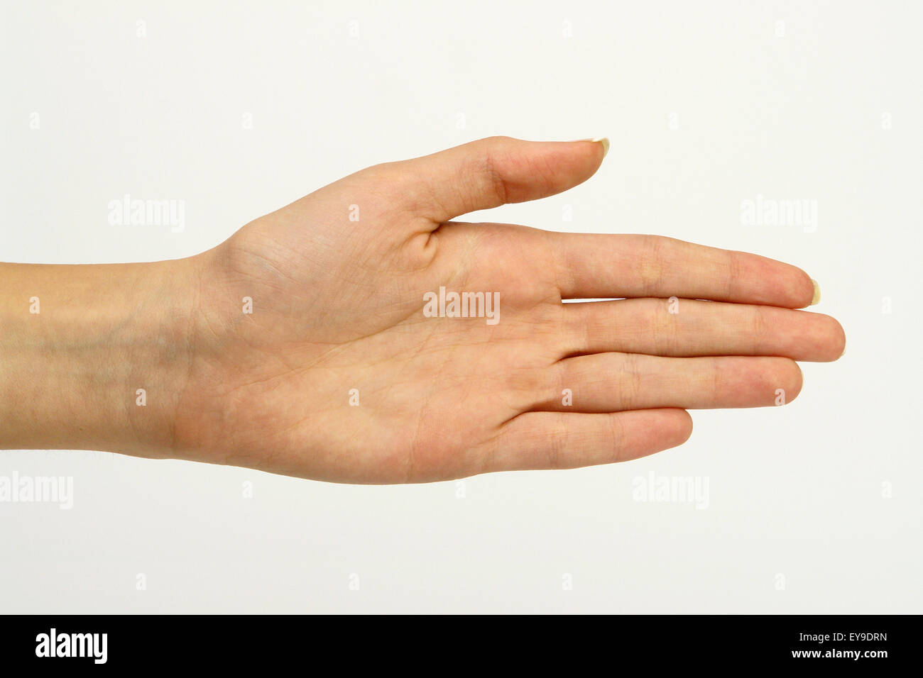 Woman hand on white background Stock Photo - Alamy