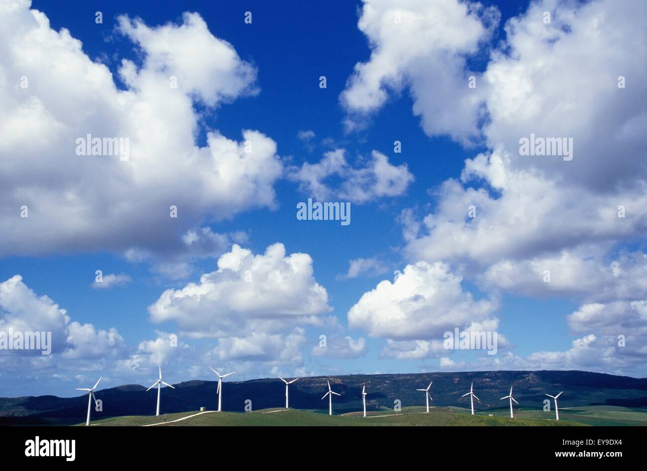 Wind Farm Under Big Blue Sky Stock Photo - Alamy
