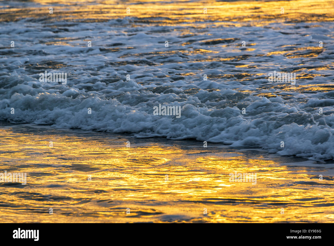 Bathed in golden light hi-res stock photography and images - Alamy