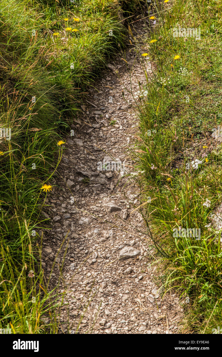 A stony path with long grass Stock Photo - Alamy
