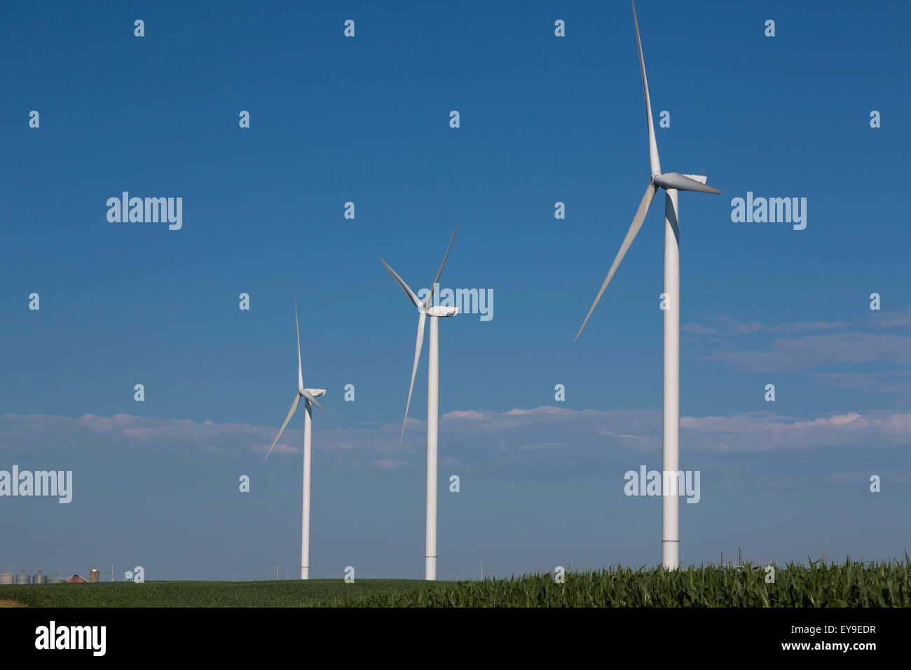 Wind turbine from the Elk Wind Energy Farm in a corn field, near ...