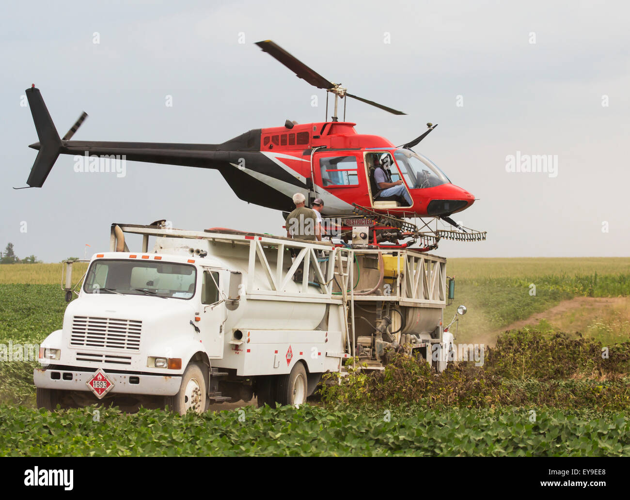 Crop dusting helicopter landed on top of tank truck refilling for ...