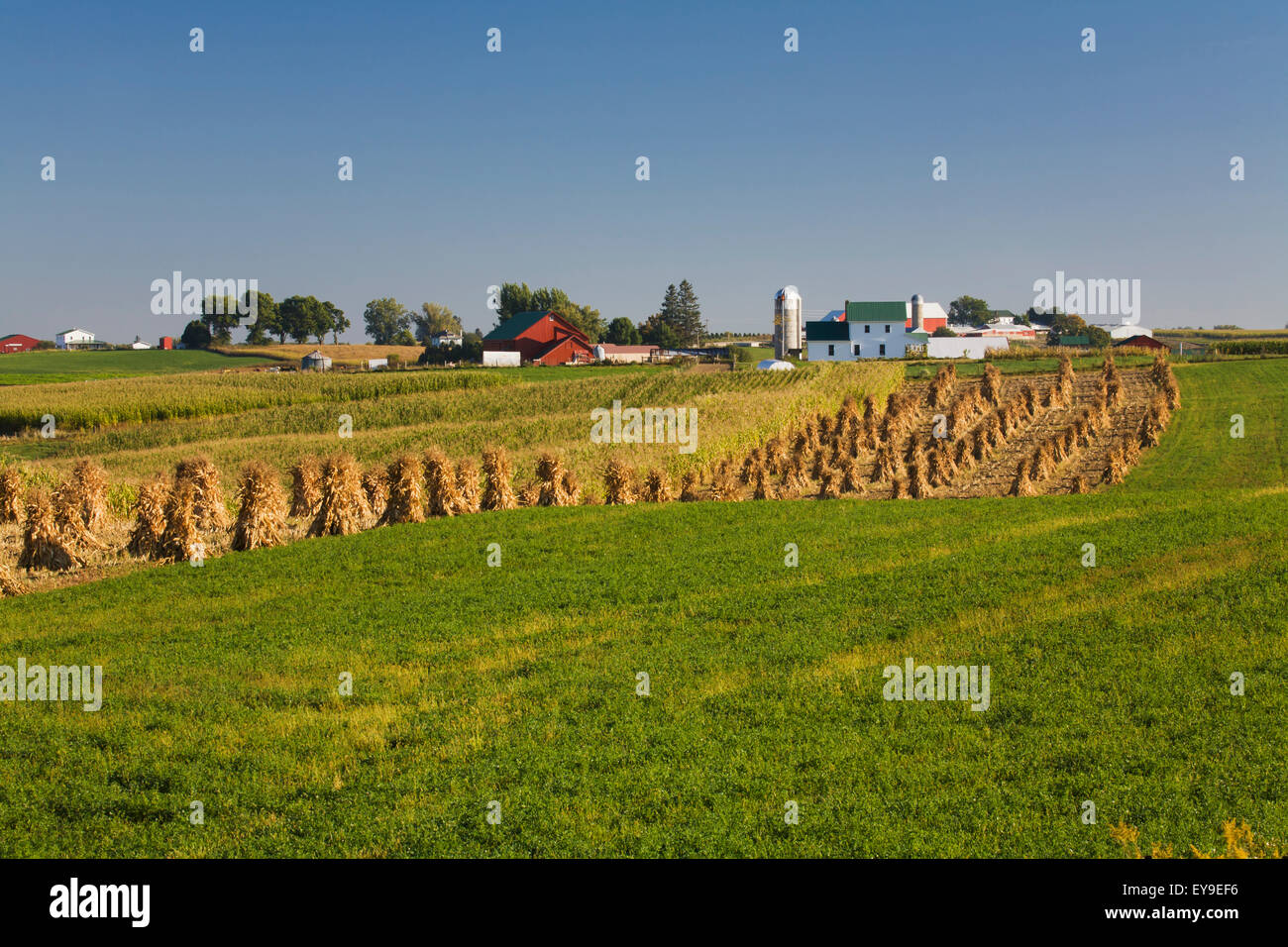 Corn shocks hi-res stock photography and images - Alamy