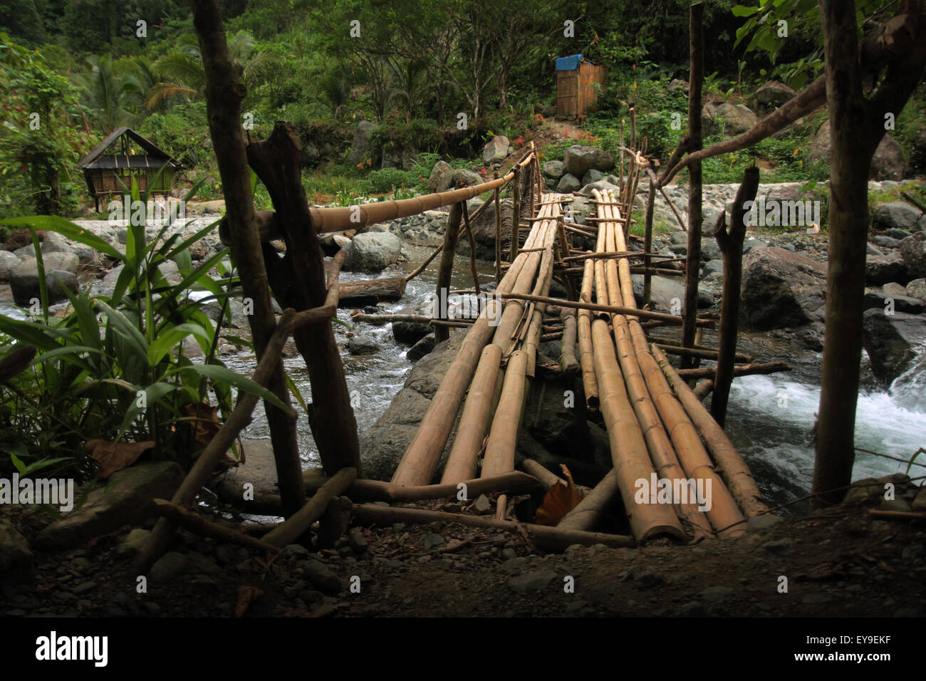 A bamboo foot bridge crosses a tropical river on the way to Ditumabo ...