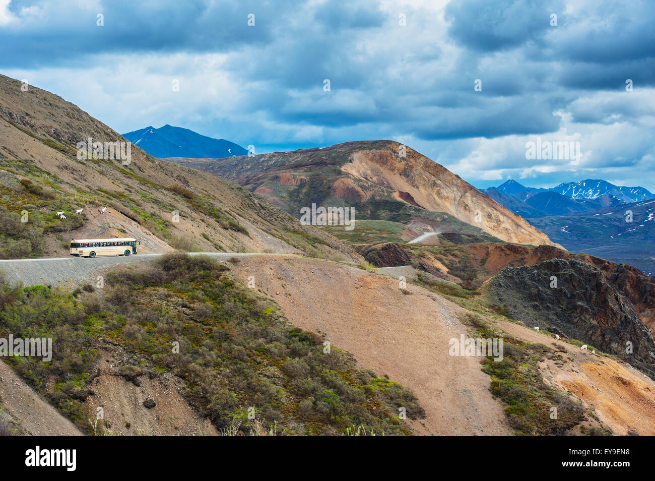 Alaska,Landscape,Tour Bus,Polychrome Pass Stock Photo - Alamy