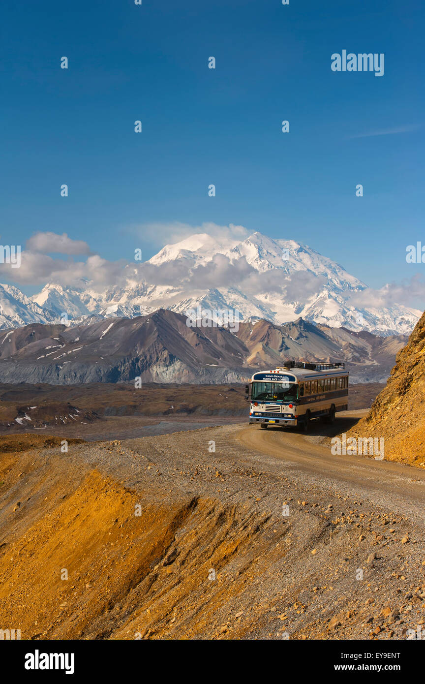 Park bus rounding a corner on the park road with Mt. McKinley towering ...