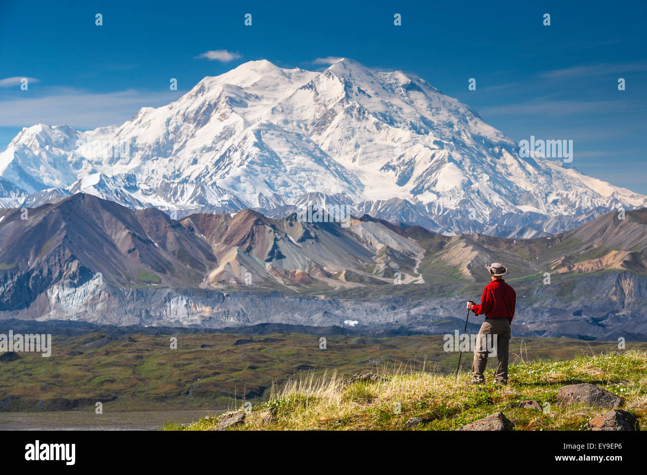 Hiker on hillside enjoys the view of Mt. McKinley and Muldrow Glacier ...