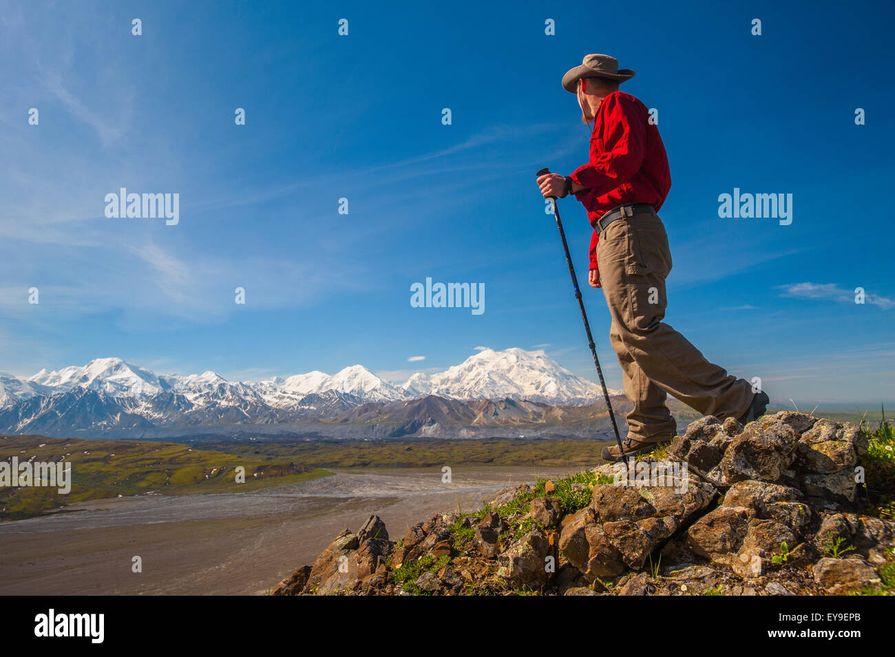 Muldrow glacier denali national park hi-res stock photography and ...