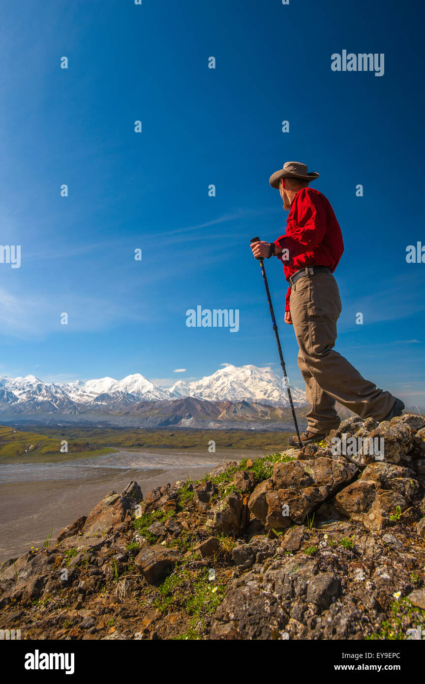 Muldrow glacier denali national park hi-res stock photography and ...