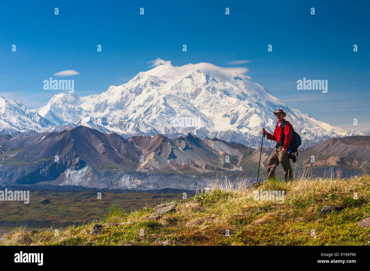 Hiker on a hillside in front of Mt. McKinley and Muldrow Glacier ...