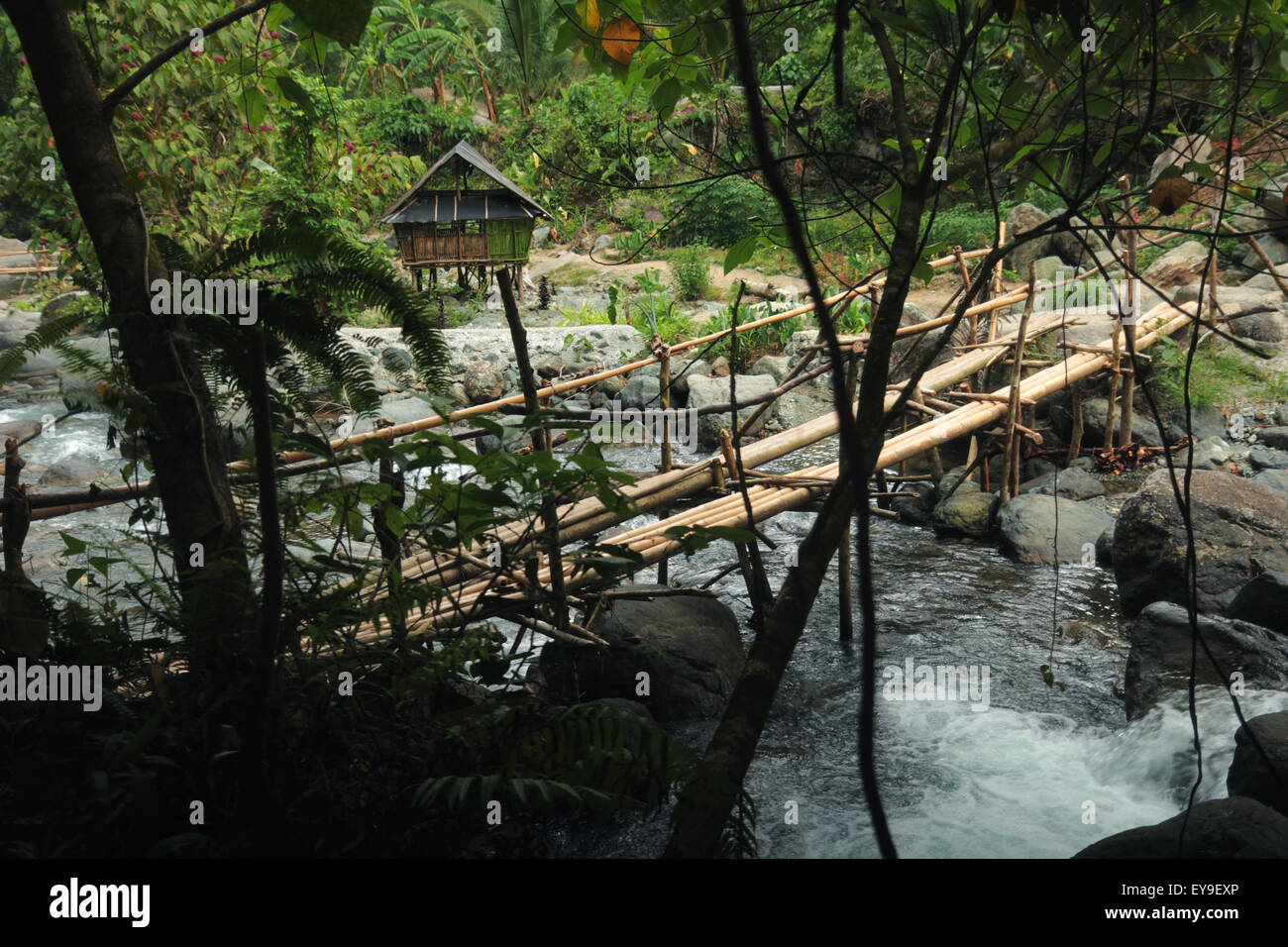 A bamboo bridge crosses a small river on the way to Ditumabo Falls ...