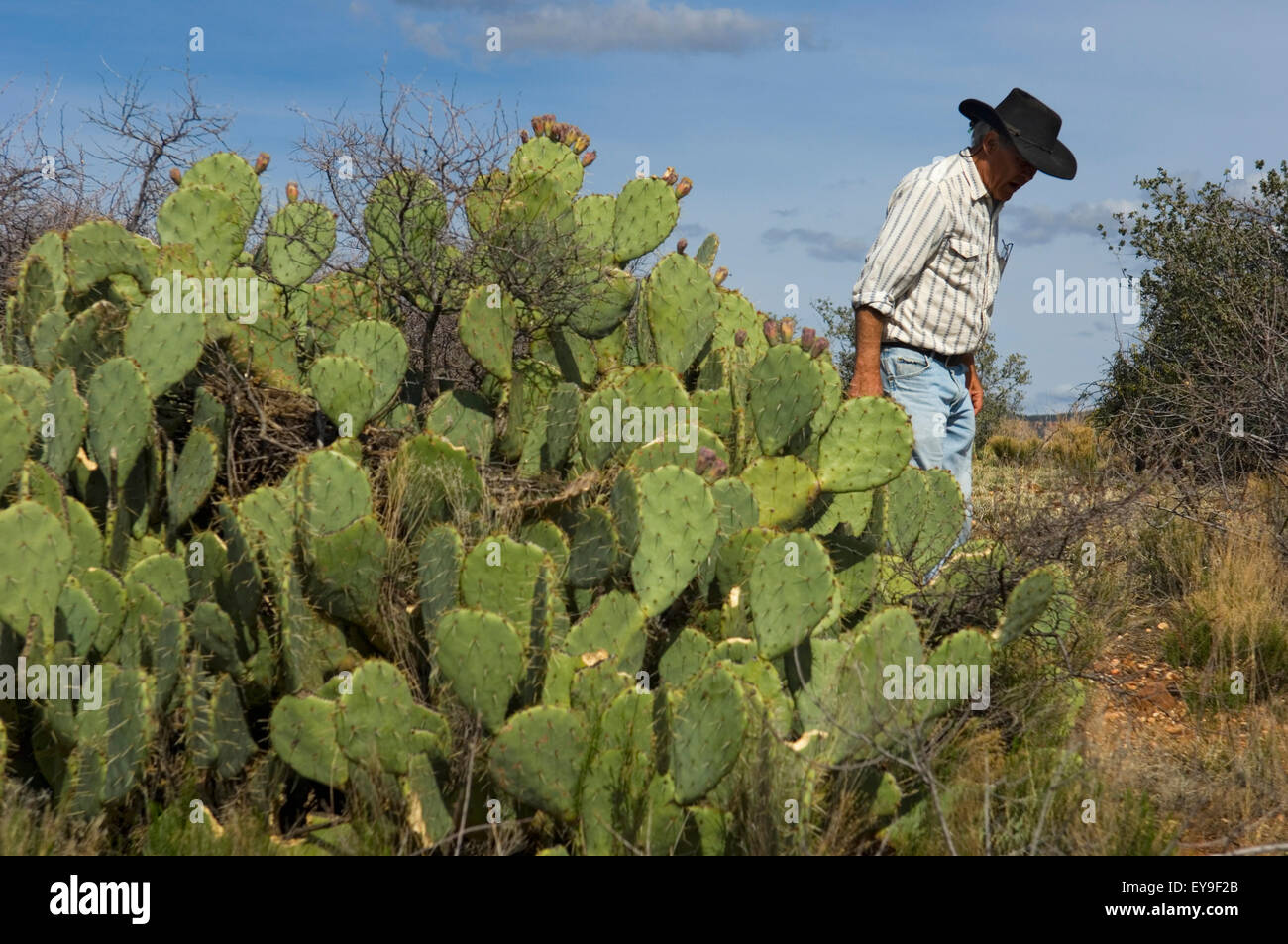 4 wheel hi-res stock photography and images - Alamy