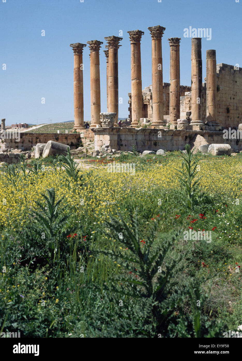 The ruins at Jerash, Jordon Stock Photo - Alamy