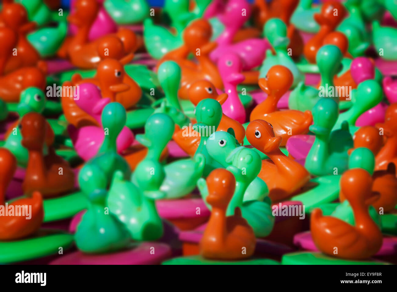 Close up of small, multi-coloured plastic ducks floating in water at a ...