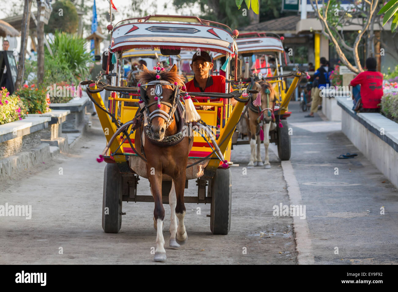Cidomo, a horse-drawn carriage, Gili Trawangan, West Nusa Tenggara ...