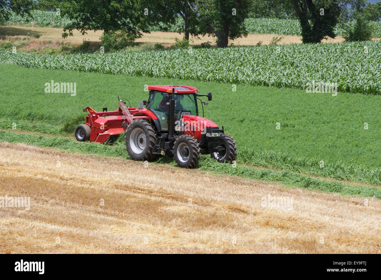 Case IH Tractor with DC132 Disc Mower cutting Alfalfa; Strasburg ...