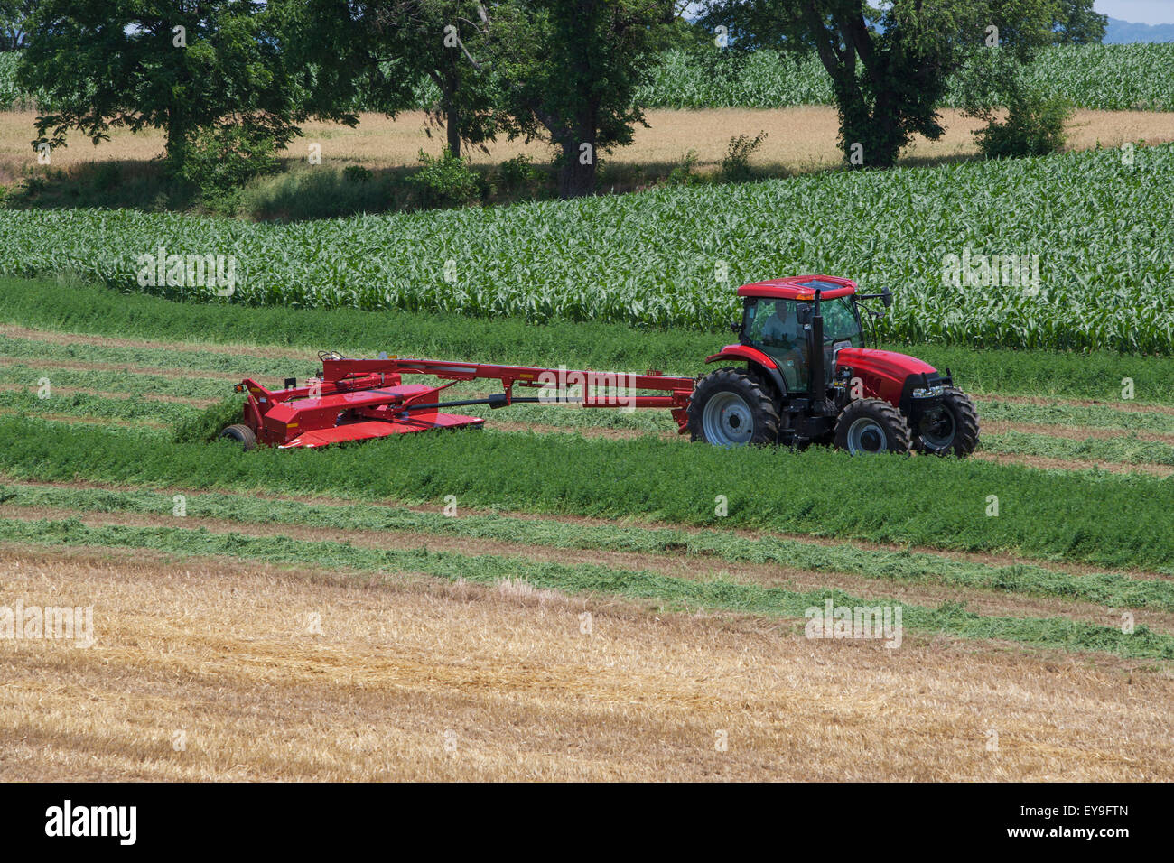 Case IH Tractor with DC132 Disc Mower cutting Alfalfa; Strasburg ...