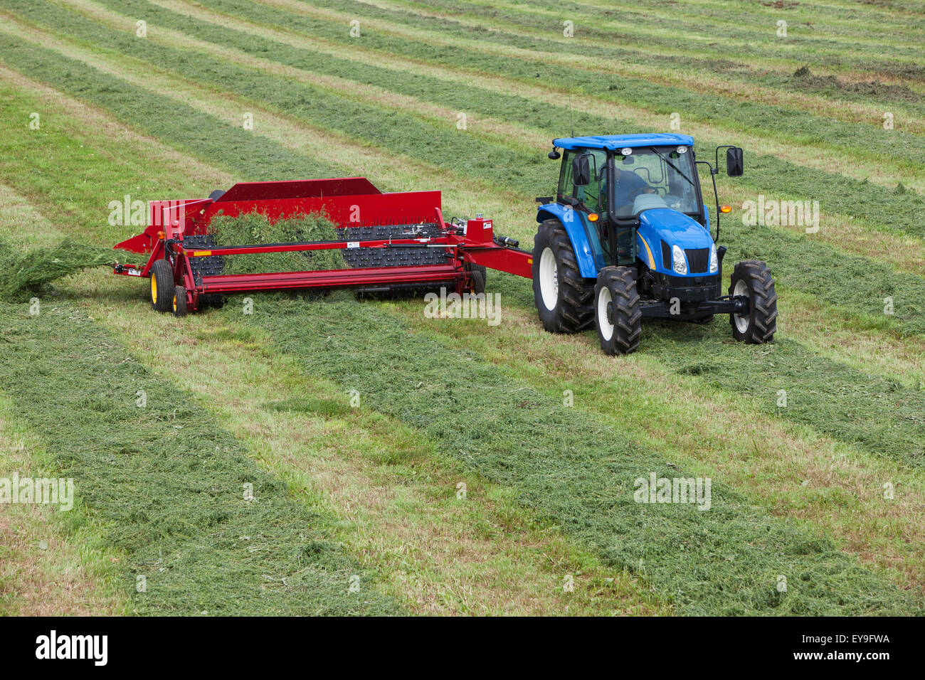 New Holland t5040 with H5430 windrow merger; New Holland, Pennsylvania ...
