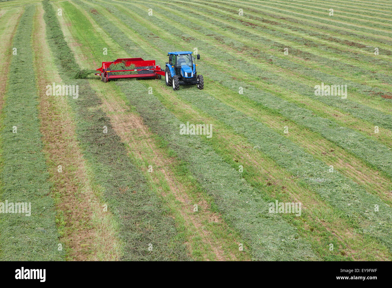 New Holland t5040 with H5430 windrow merger; New Holland, Pennsylvania ...