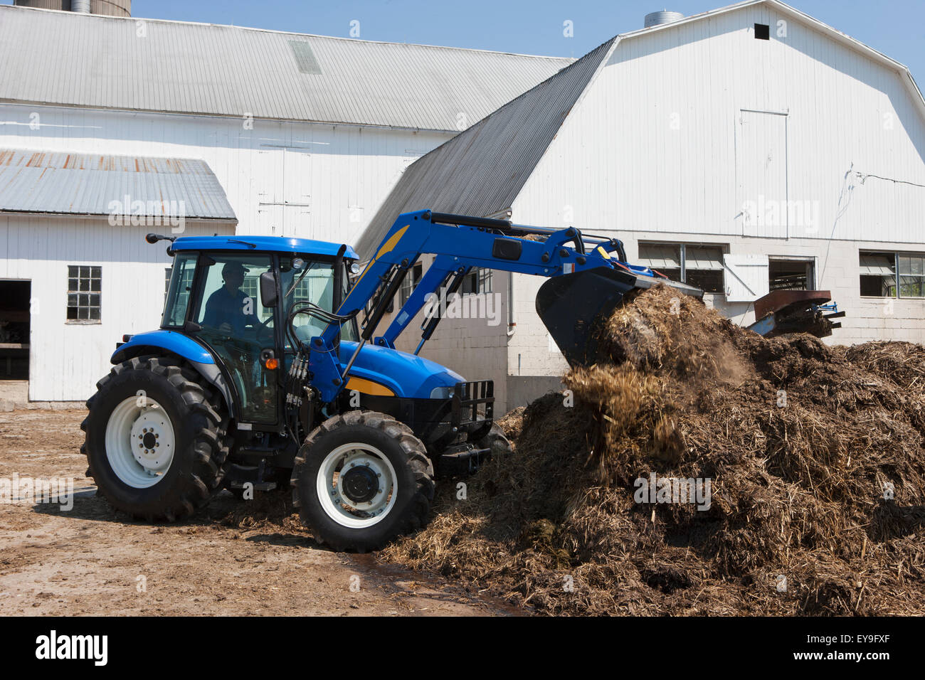 North holland dairy farm hi-res stock photography and images - Alamy