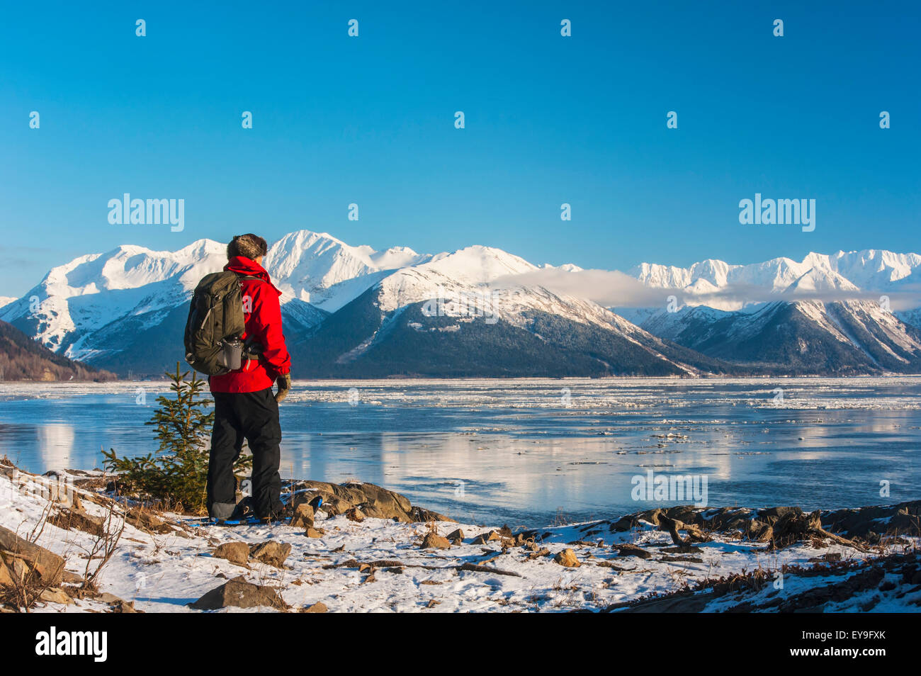 A man snowshoeing along the Cook Inlet with Kenai Mountains in the ...