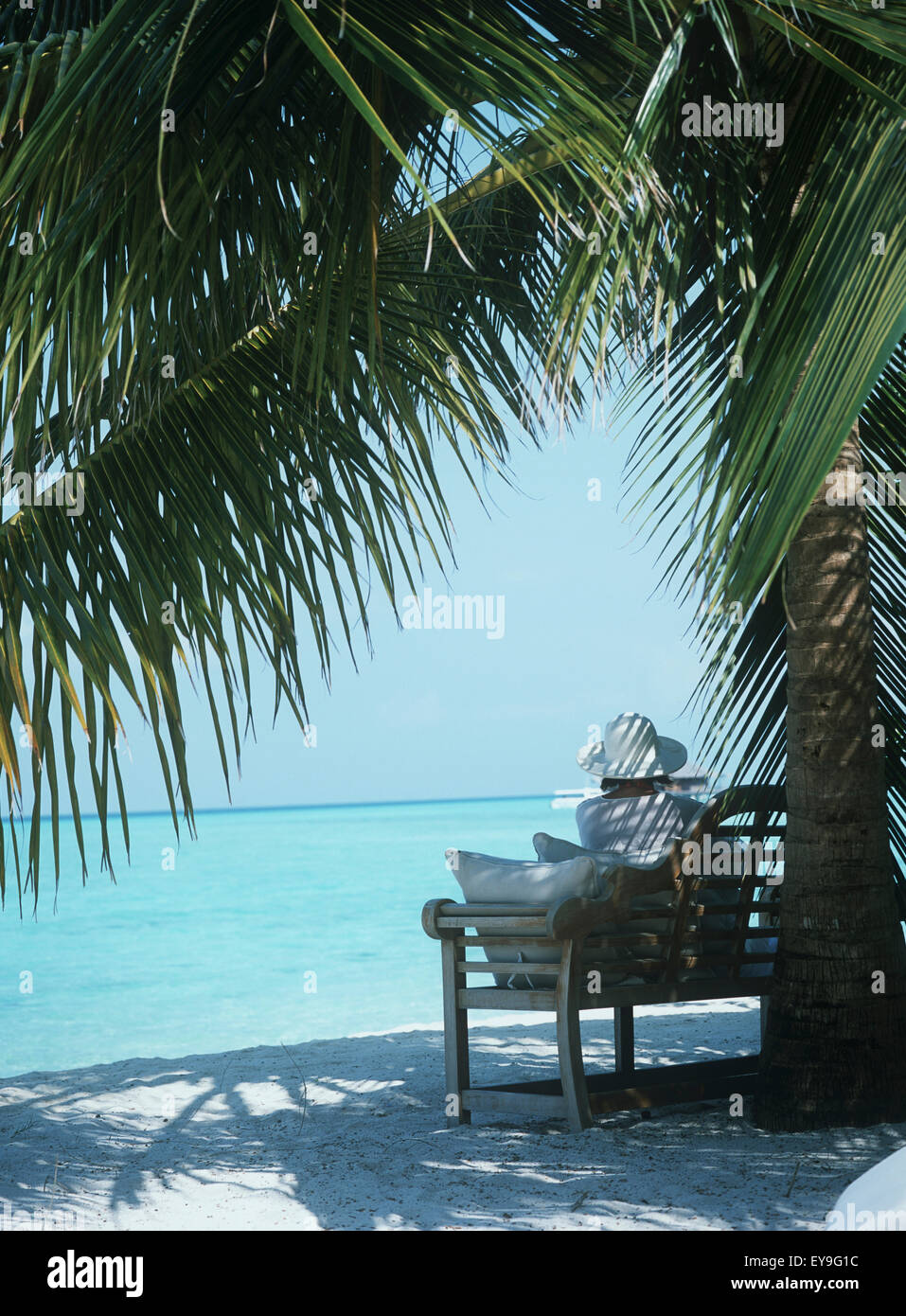 Woman sitting under palm tree hi-res stock photography and images - Alamy