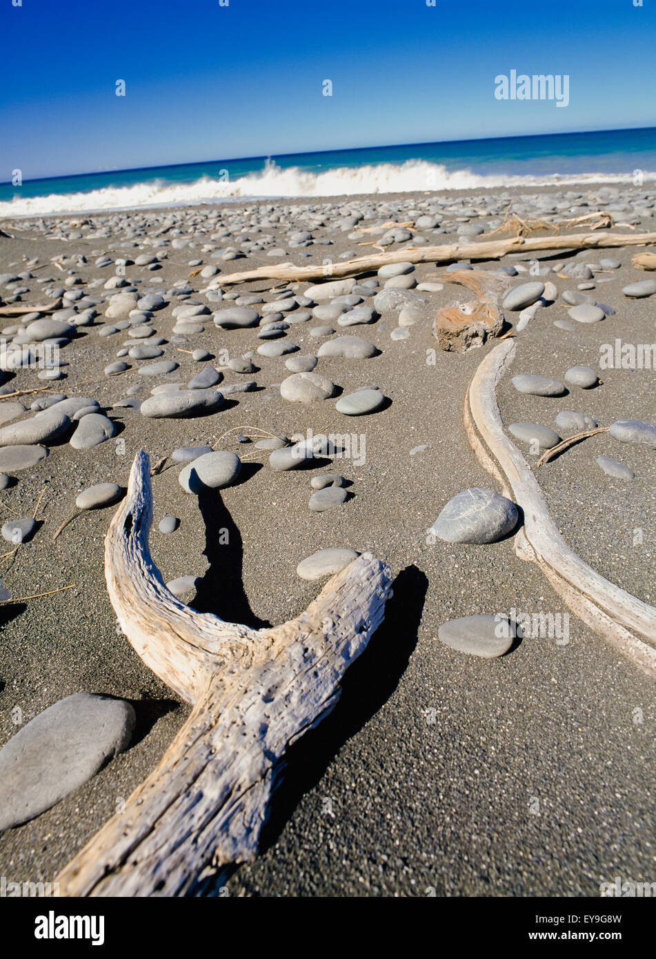 Drift Wood And Pebbles On Beach Stock Photo - Alamy