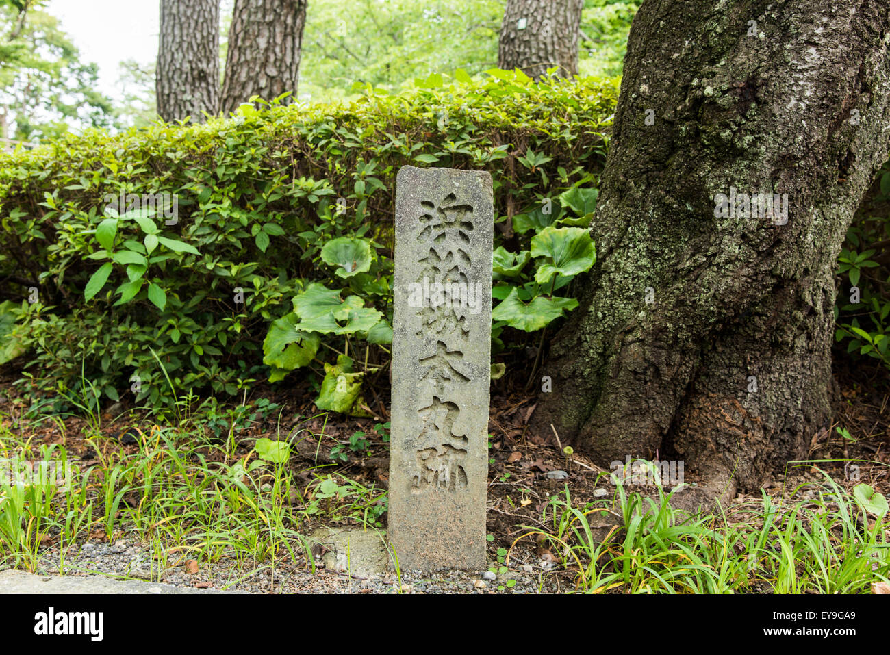 Hamamatsu Castle,Hamamatsu Castle Park,Hamamatsu City,Shizuoka ...