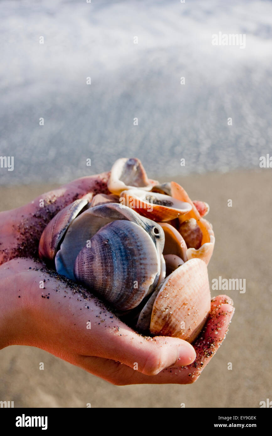 Handfull Of Seashells Stock Photo - Alamy