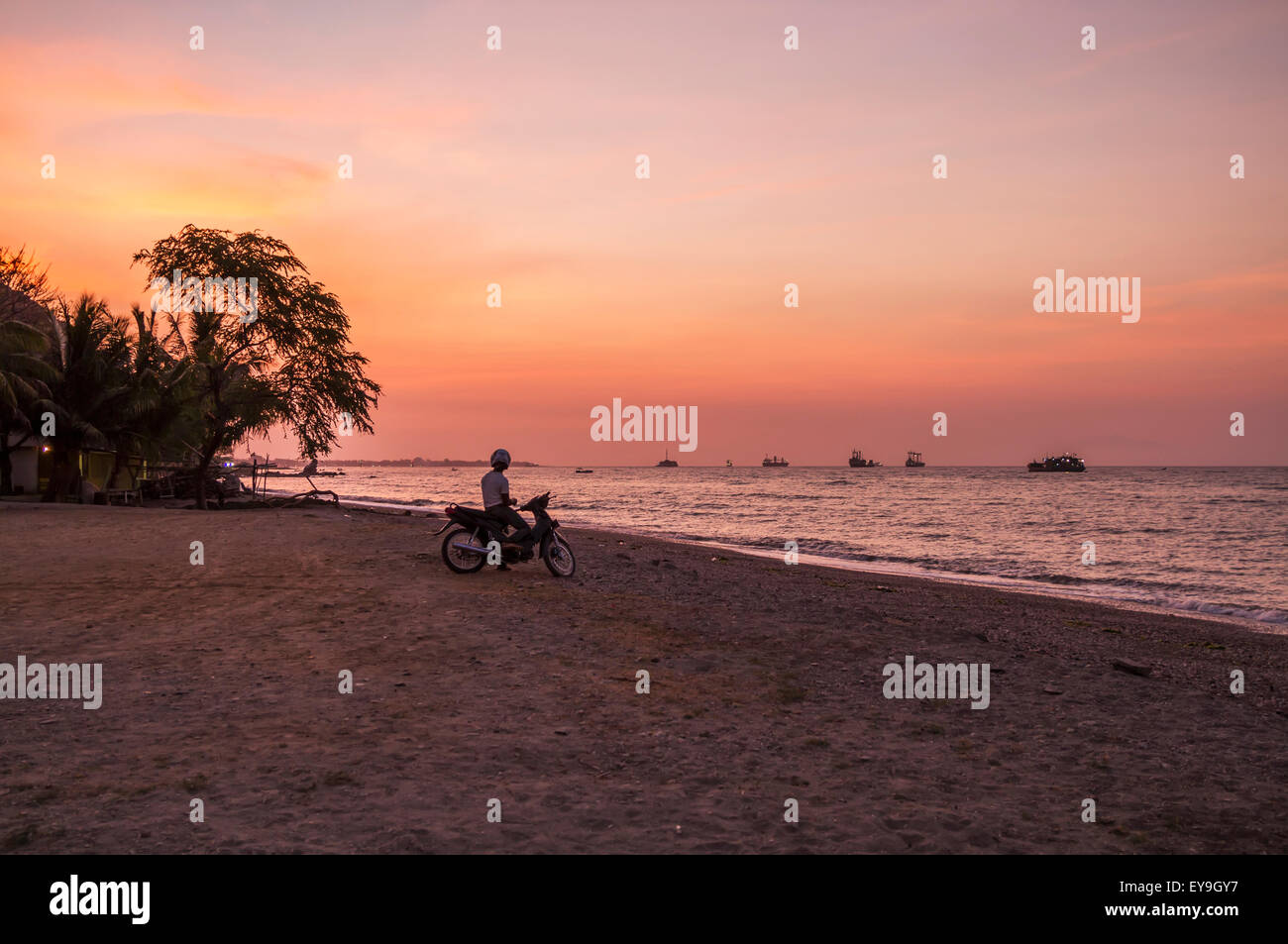 Scooter palm tree hi-res stock photography and images - Alamy