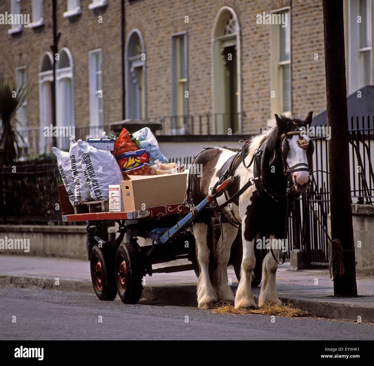 Traditional Horse & Cart, Rathmines, Dublin, Ireland Stock Photo - Alamy