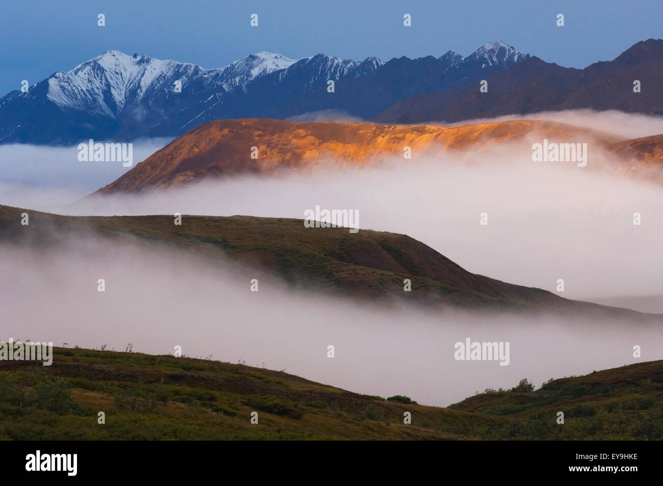 Fog Settles Between Mountain Ridges At Sunrise In Sable Pass, Denali ...
