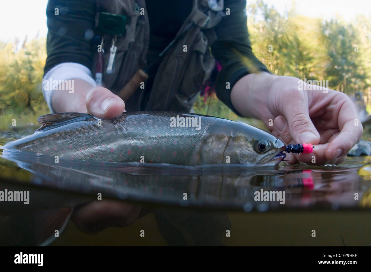 Underwater Shot Of Fisherman Holding A Fish With Lure Caught In Mouth ...